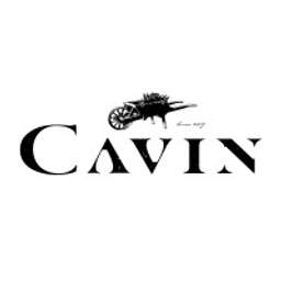 CAVIN - Crunchbase Company Profile & Funding