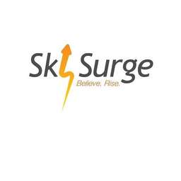 Sky Surge - Crunchbase Company Profile & Funding