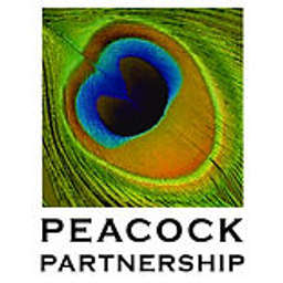Peacock Partnership - Tech Details