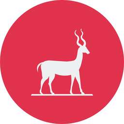 Studio Antelope - Crunchbase Company Profile & Funding