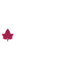 Ivy Strategy Advisor - Tech Stack, Apps, Patents & Trademarks