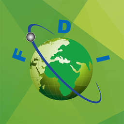 Future Dynamic Innovations