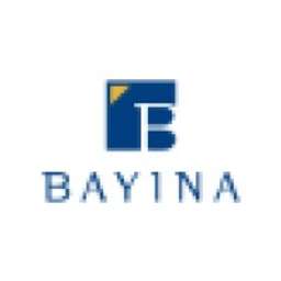 Bayina Advisors - Crunchbase Company Profile & Funding