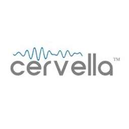 Cervella