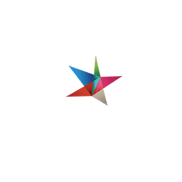 Lyra Technologies - Crunchbase Company Profile & Funding