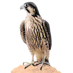 Al Khazna Insurance Company - Crunchbase Company Profile & Funding