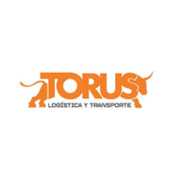 Torus - Crunchbase Company Profile & Funding