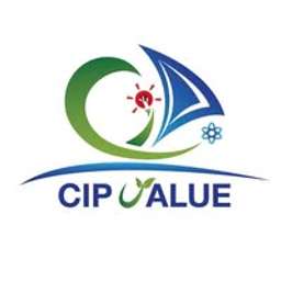 CIP Value - Crunchbase Company Profile & Funding
