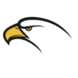 Fiber Eagle - Crunchbase Company Profile & Funding