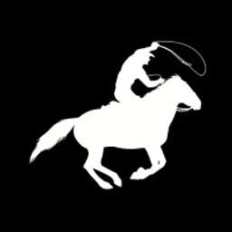 Bronco AI - Crunchbase Company Profile & Funding