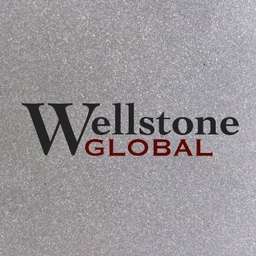 Wellstone Global - Crunchbase Company Profile & Funding