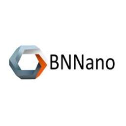BNNano - Financial Details