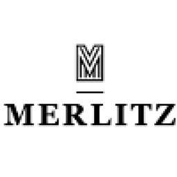 Merlitz - Tech Stack, Apps, Patents & Trademarks