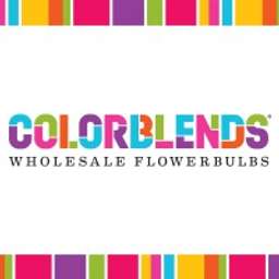 Colorblends Wholesale Flowerbulbs - Crunchbase Company Profile & Funding