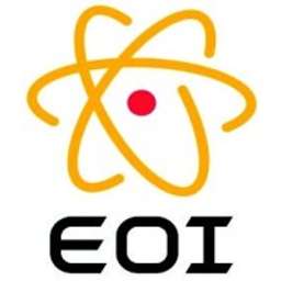 Electron Optics Instruments - Tech Details