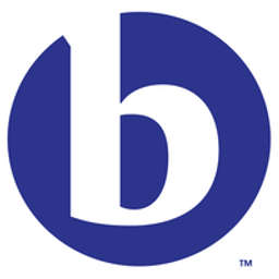 Bluestone Life - Financial Details