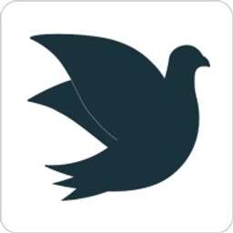 Pigeon-Tech - Tech Details