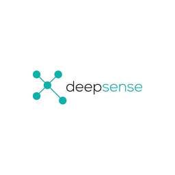 Deepsense Digital Solutions - Crunchbase Company Profile & Funding
