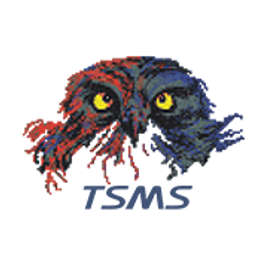 Tsms - Crunchbase Company Profile & Funding