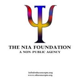 The NIA Foundation - News & Analysis