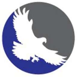 Falcon Technology Solutions - Crunchbase Company Profile & Funding