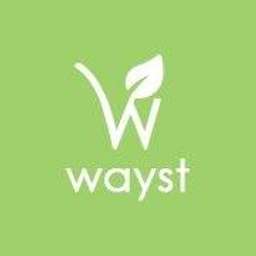 Wayst - Crunchbase Company Profile & Funding