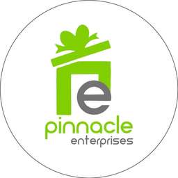 Pinnacle Enterprises