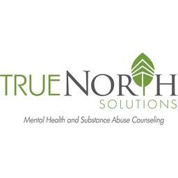 True North Solutions - Crunchbase Company Profile & Funding