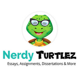 Nerdy Turtlez