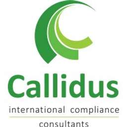 Callidus Solutions