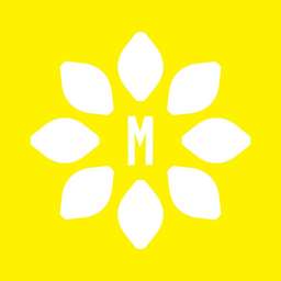 Mad Lemon - Crunchbase Company Profile & Funding