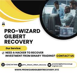 Pro Wizard Gilbert Recovery - Crunchbase Company Profile & Funding