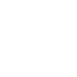 Sinfic - Tech Details