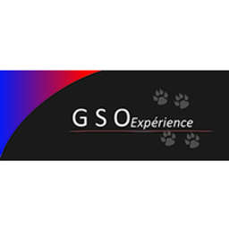 GSO Experience - Crunchbase Company Profile & Funding