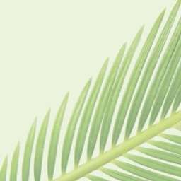 LA CYCA - Crunchbase Company Profile & Funding