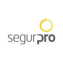 SegurPro - Tech Details