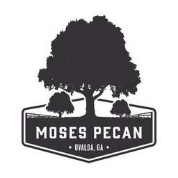 Moses Pecan - Tech Details