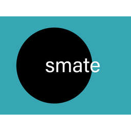 Smate - Tech Details