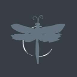 Dragon-Fly Studio - Crunchbase Company Profile & Funding