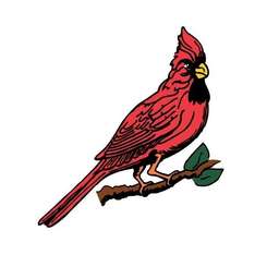 CARDINAL of MINNESOTA - News & Analysis