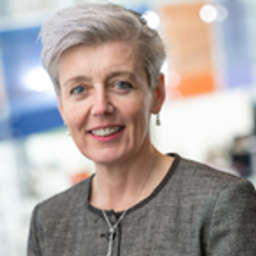 Angela Chapman - President & CEO @ VGH and UBC Hospital Foundation ...