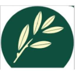 Willow Health Care - Crunchbase Company Profile & Funding