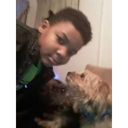 Elijah McCarter - Crunchbase Person Profile