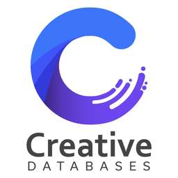 Creative Databases