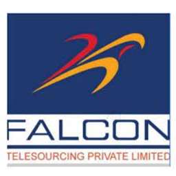 Falcon Telesourcing - Crunchbase Company Profile & Funding