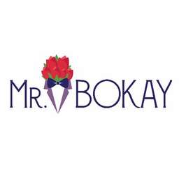 Mr. Bokay - Tech Details