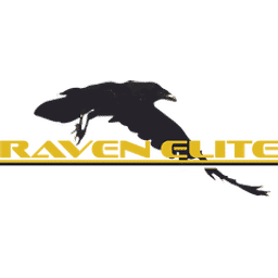 Raven Elite Consulting