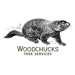 Wood Chucks Tree Service and Logging - Tech Details