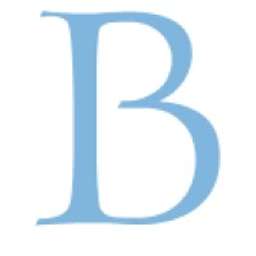 Bayse Intelligence - Crunchbase Company Profile & Funding