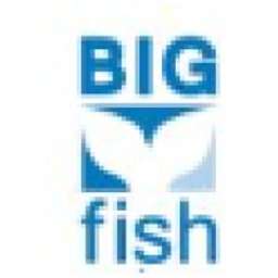 Big Fish Ventures - Profiles & Contacts